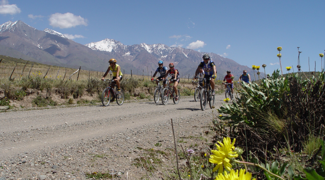 Luján de Cuyo, Mendoza – Ocico